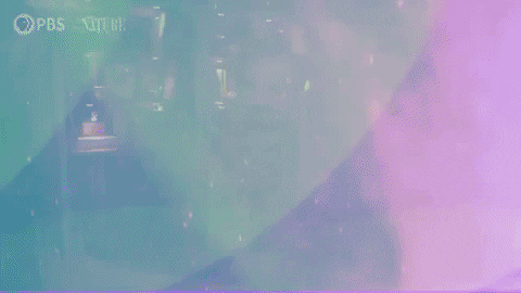 Trace Dominguez GIFs - Get the best GIF on GIPHY