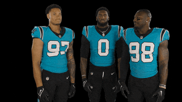 2023 Carolina Panthers GIFs on GIPHY - Be Animated
