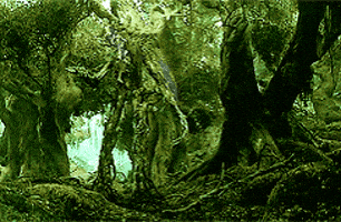 Treebeard GIFs - Get the best GIF on GIPHY