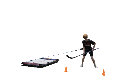 Gifs September - Sports, Raptor LaCrosse GIFs on GIPHY - Be Animated