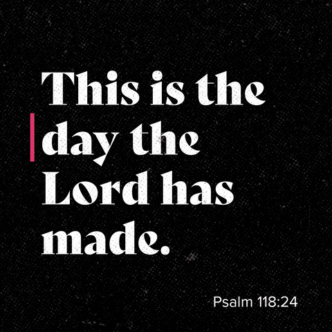 Day-118 GIFs - Get the best GIF on GIPHY