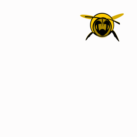 Bumblebee GIF - Find & Share on GIPHY
