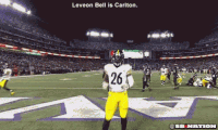GIF Logos formatted for ESPN : r/fantasyfootball