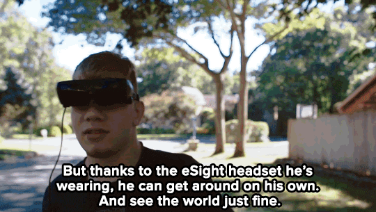 Legally Blind GIFs - Get the best GIF on GIPHY