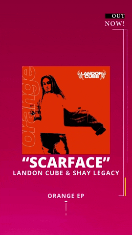 Shaylo Records GIF - Find & Share on GIPHY