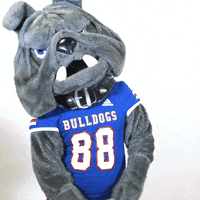 Bulldog Football Mascot Gif