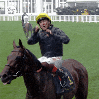 Horse Racing Gif