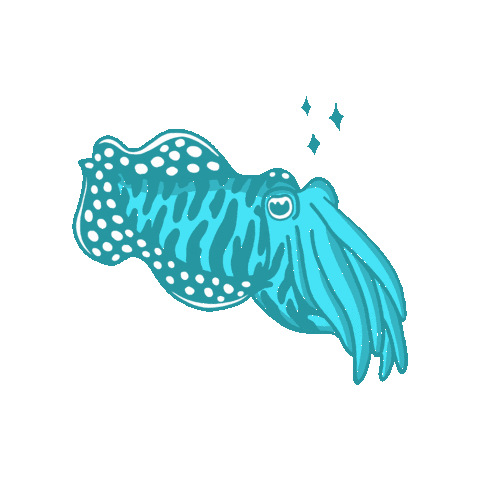 Cuttlefish Gif