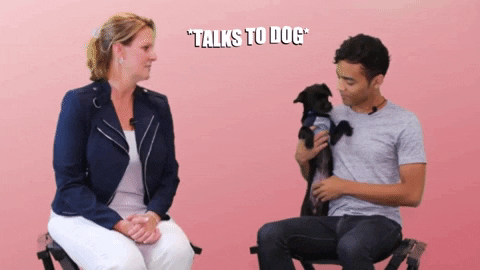 Talking-to-dog GIFs - Get the best GIF on GIPHY