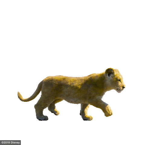 Mountain Lion Running Gif