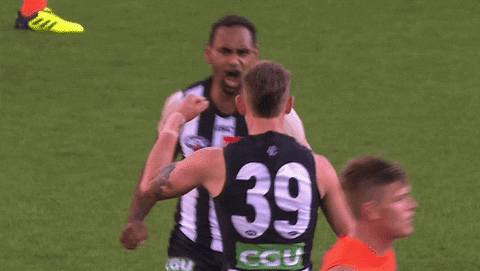 Football Fail GIF by CollingwoodFC - Find & Share on GIPHY