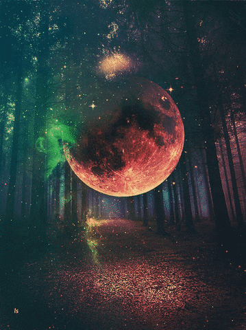 Smoking Meth GIFs - Get the best GIF on GIPHY