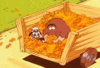 Throwing Confetti Animated Gif