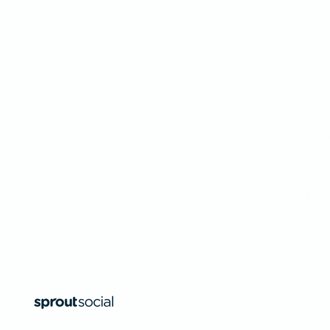 Sprout Social GIFs - Get the best GIF on GIPHY