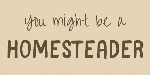 Might GIF by National Ladies Homestead Gathering - Find & Share on GIPHY