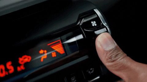 Buying New Car GIFs - Get the best GIF on GIPHY