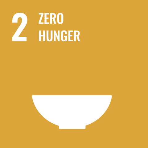 Yorku Sdg2 GIF by York University - Find & Share on GIPHY