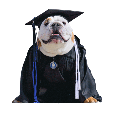 Butler University GIFs on GIPHY - Be Animated