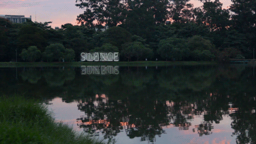 Landscape Teaser GIF by Carolina Costa - Find & Share on GIPHY