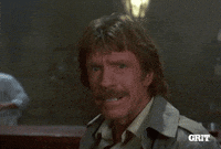 Chuck Norris Roundhouse Kick Animated Gif
