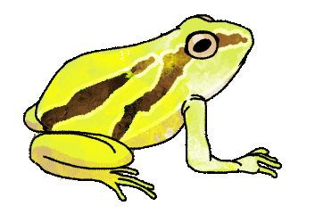 Animation Sticker Sticker by LowResolutionBoy for iOS & Android | GIPHY