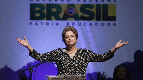 GIF by Univision Noticias - Find & Share on GIPHY