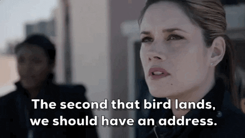 Bird-landing GIFs - Get the best GIF on GIPHY