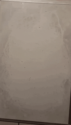 Whiteboard-hand GIFs - Get the best GIF on GIPHY
