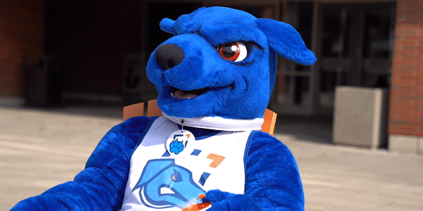 Mascot Hunter GIF by OntarioTechU - Find & Share on GIPHY