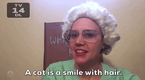 Snl GIF by Saturday Night Live - Find & Share on GIPHY