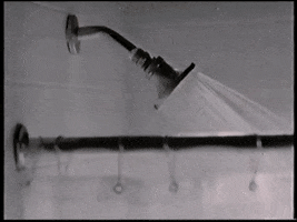 Dog Shower GIFs - Get the best GIF on GIPHY