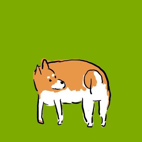 Excited Shiba Inu GIF - Find & Share on GIPHY