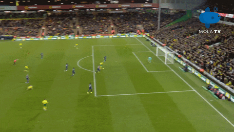 Norwichcity GIF by MolaTV - Find & Share on GIPHY