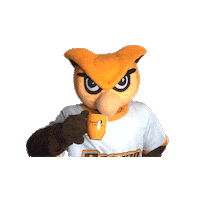 Ncaa Mascot Sticker by Rowan University for iOS & Android | GIPHY