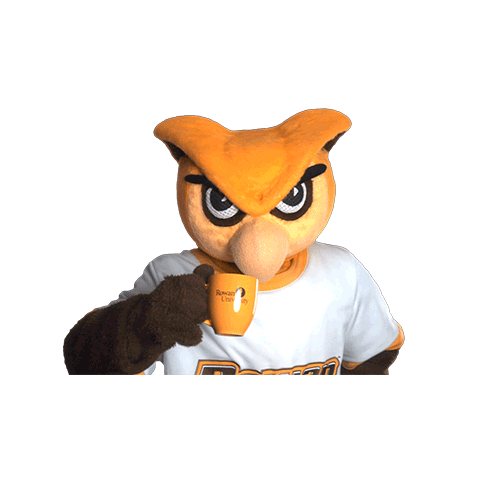 Ncaa Mascot Sticker by Rowan University for iOS & Android | GIPHY