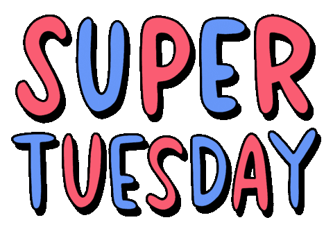 Voting Super Tuesday Sticker by Sarah The Palmer for iOS & Android | GIPHY