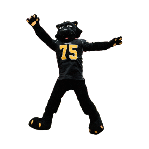 Birmingham-Southern College Office of Admission GIFs on GIPHY - Be Animated