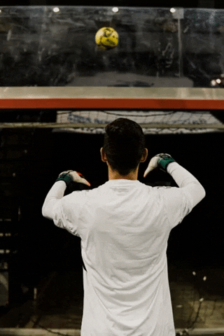 Enriquez Gifs Find Share On Giphy