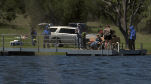 Gofishing GIFs - Get the best GIF on GIPHY