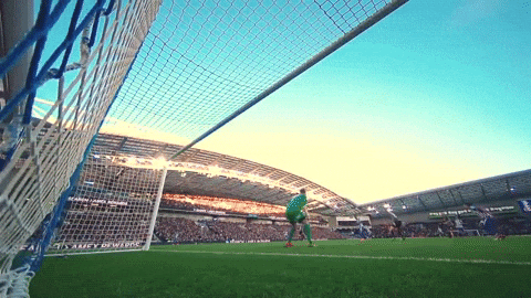 Bhafc GIF by Brighton & Hove Albion Football Club - Find & Share on GIPHY