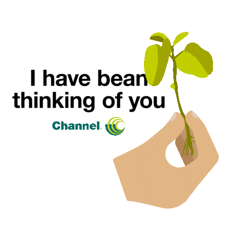 Channel Seed GIFs on GIPHY - Be Animated