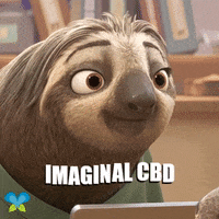 Sloth With Sunglasses Gif