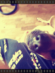 Angus-mcbeef GIFs - Get the best GIF on GIPHY