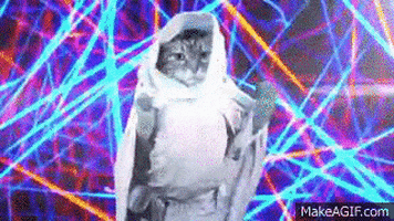 Rave Cat GIFs - Find & Share on GIPHY