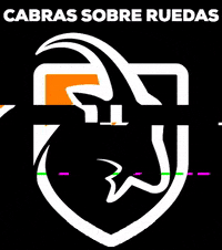 Gif De Mapache Cohete