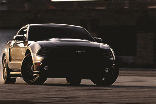 Mustang GIFs - Get the best GIF on GIPHY