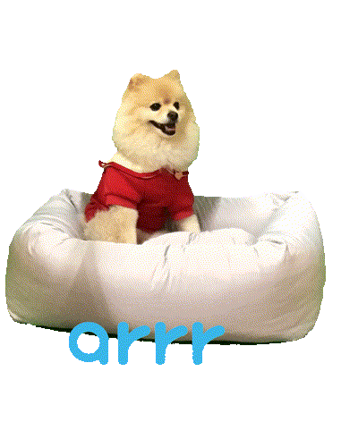 아르르 Sticker by arrr_official for iOS & Android | GIPHY