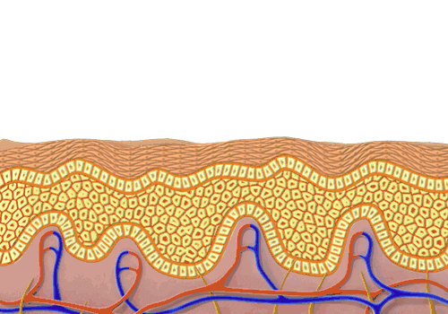 Oxygen-facial GIFs - Get the best GIF on GIPHY