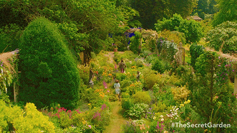 Garden GIF by TheSecretGarden - Find & Share on GIPHY
