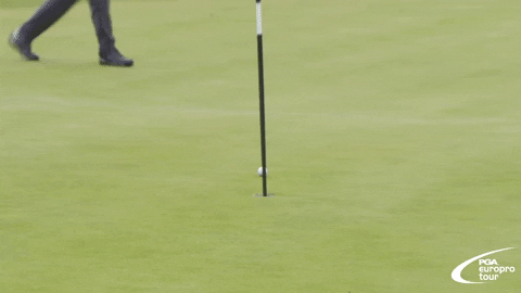 Golf Putt GIF by PGA EuroPro Tour - Find & Share on GIPHY